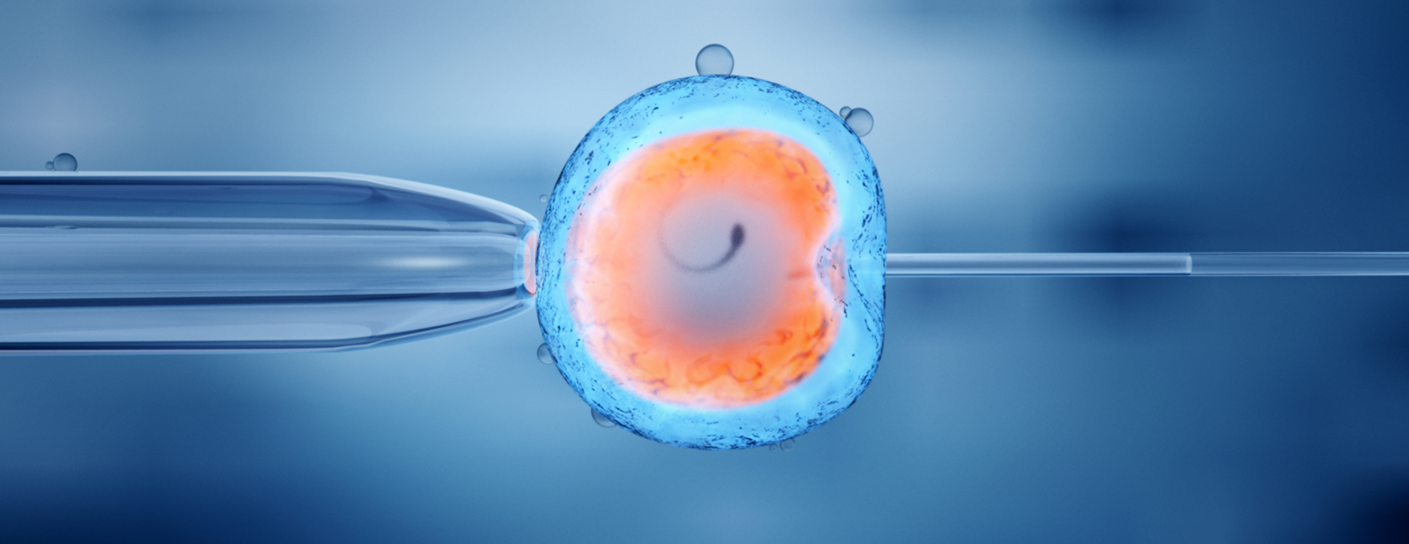 FAQ: Fertility Services at UCSF | Patient Education | UCSF Health