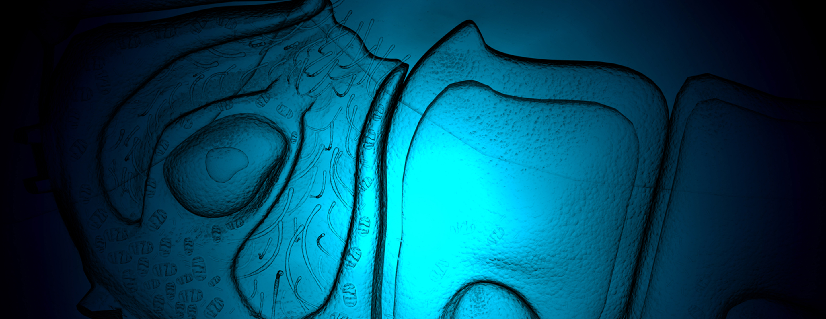 Antiparietal cell antibody test