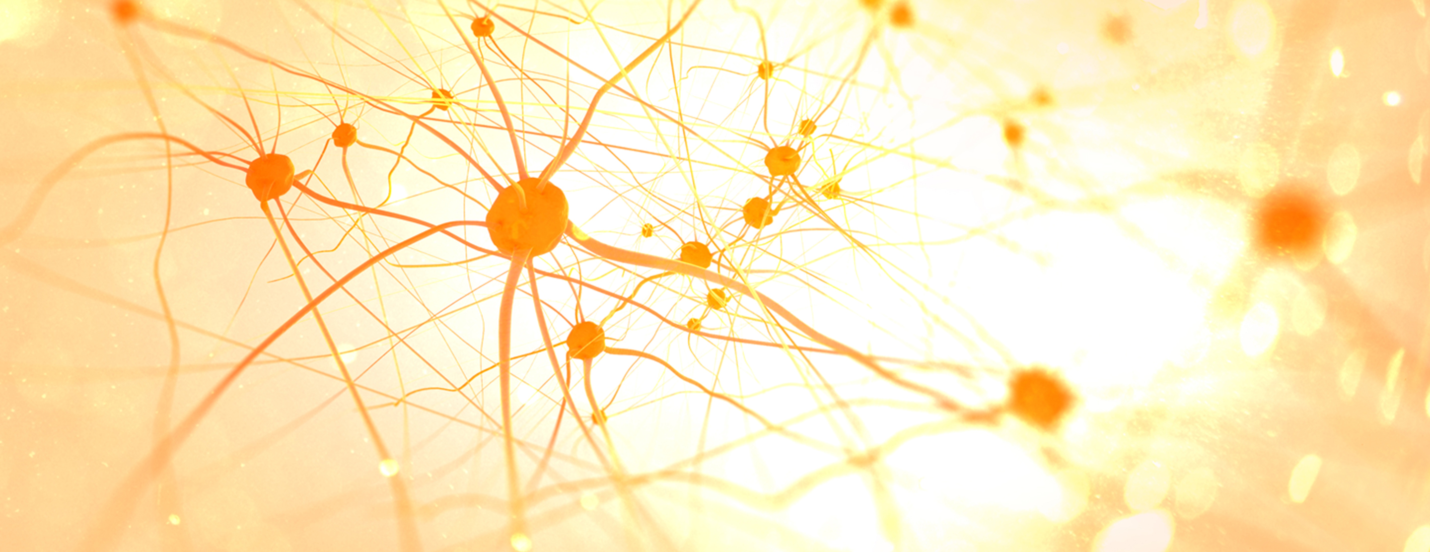 Brain Autopsy Service | Programs | UCSF Health