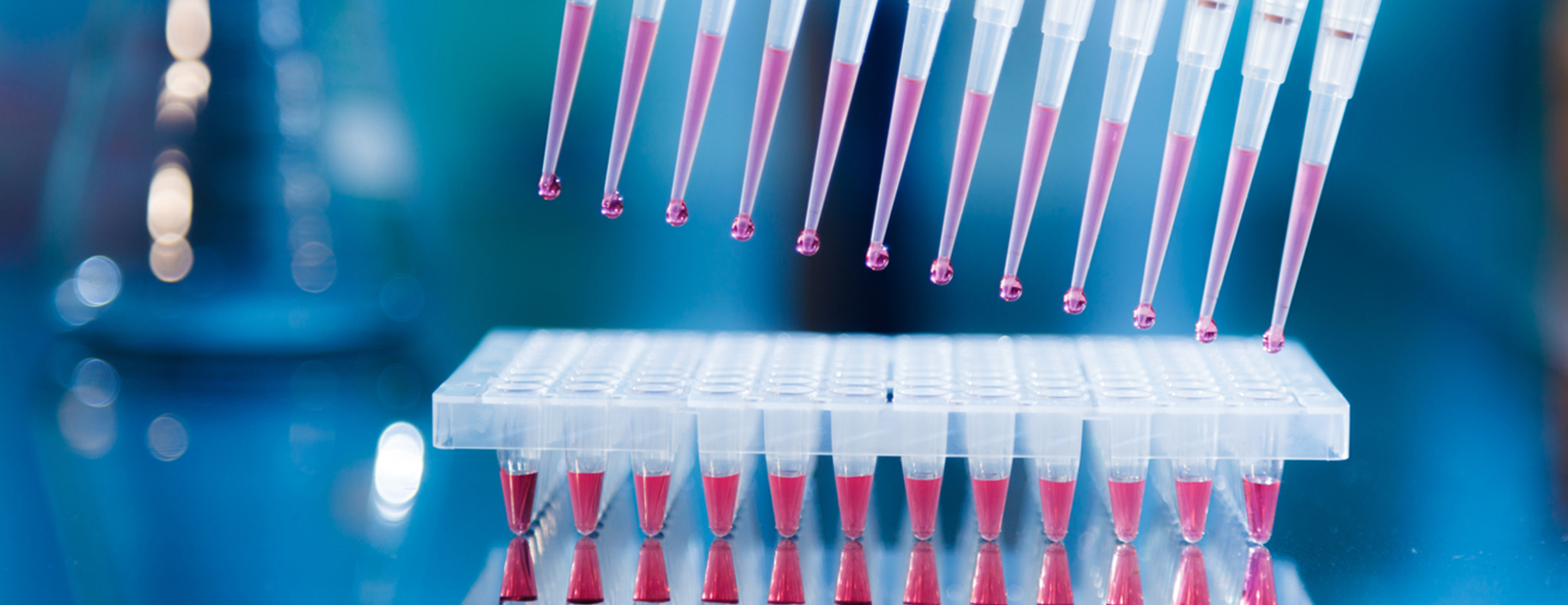 Pre-Implantation Genetic Diagnosis | Conditions & Treatments | UCSF Health